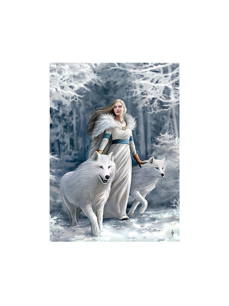 CLEMENTONI Puzzle Anne Stokes Collection - Winter Wächter 1000 Teile ...