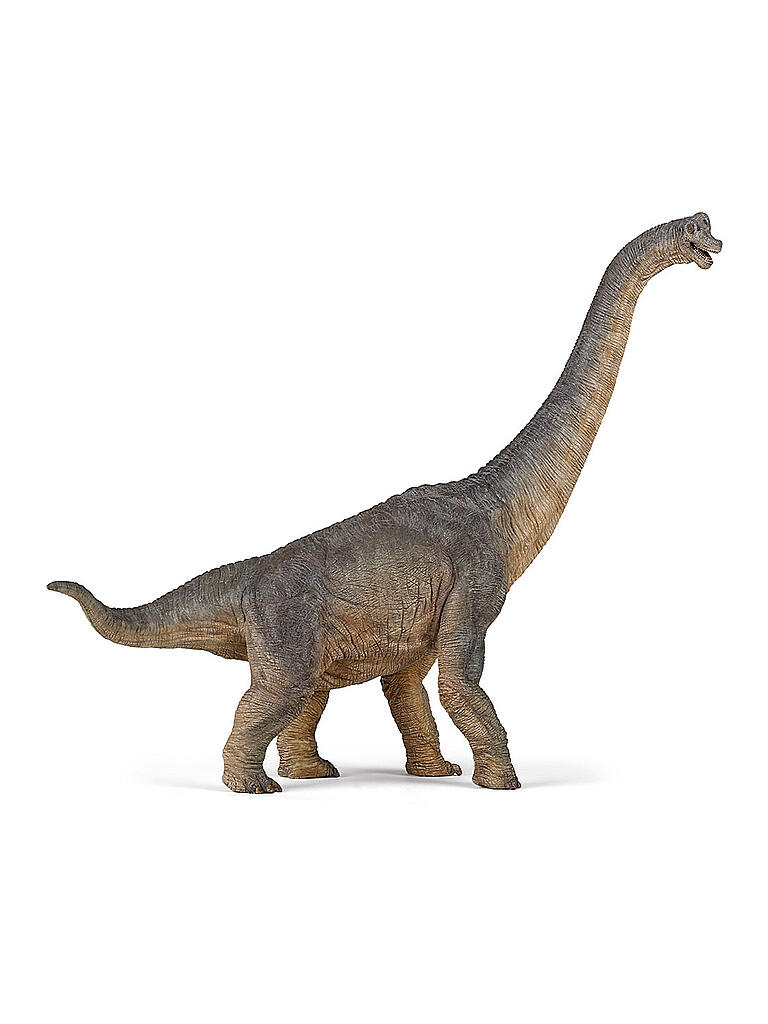 PAPO Brachiosaurus transparent